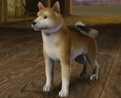 Buster Fenderson | LifeSimmer Wiki | Fandom