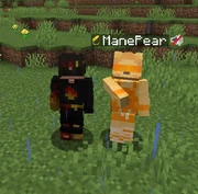 The Blindfold Brothers | Lifesteal SMP Wiki | Fandom