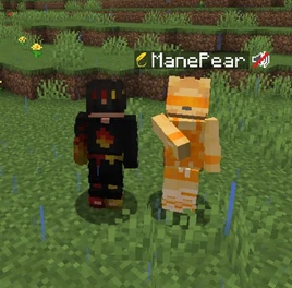 The Blindfold Brothers (Season 6) | Lifesteal SMP Wiki | Fandom