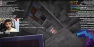 Pangi (Season 7) | Lifesteal SMP Wiki | Fandom