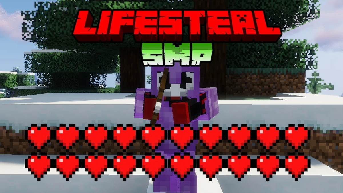End Fight (Season 2) | Lifesteal SMP Wiki | Fandom