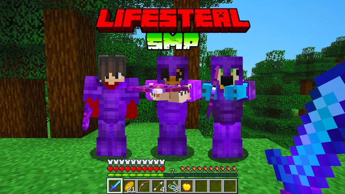 Mapicc/Videos | Lifesteal SMP Wiki | Fandom