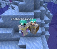 Roshambogames (Season 6) | Lifesteal SMP Wiki | Fandom
