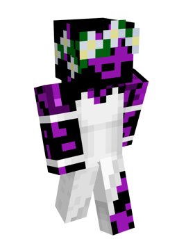 Ashswagg (Season 5) | Lifesteal SMP Wiki | Fandom