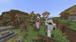 JumperWho (Season 6) | Lifesteal SMP Wiki | Fandom