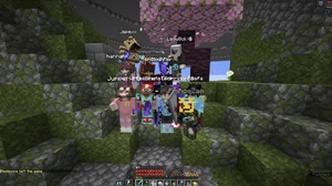 JumperWho (Season 6) | Lifesteal SMP Wiki | Fandom