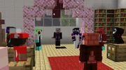 The Ashswag and Parrot Wedding | Lifesteal SMP Wiki | Fandom