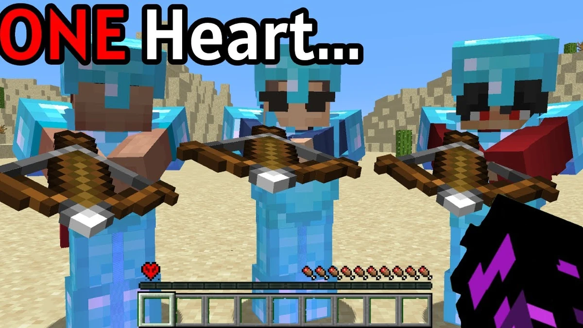 Ashswagg/Videos | Lifesteal SMP Wiki | Fandom