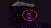 Mapicc/Videos | Lifesteal SMP Wiki | Fandom