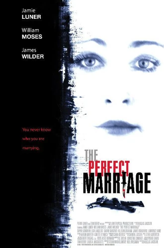 The Perfect Marriage | The Lifetime Movies Wiki | Fandom