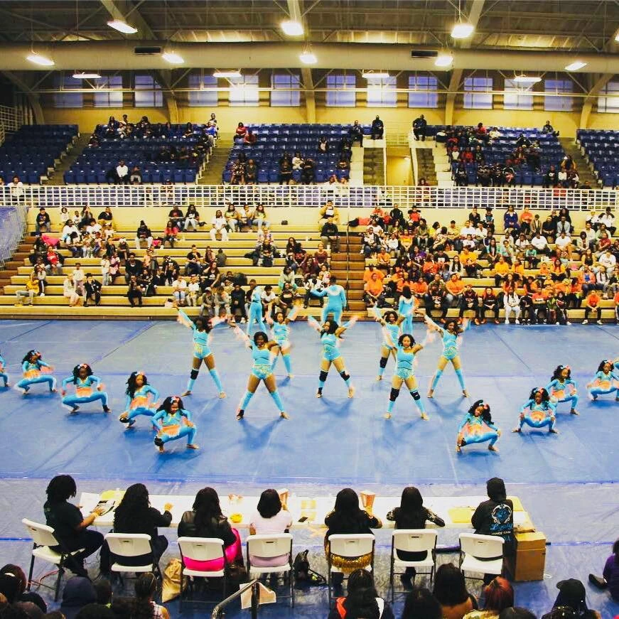 Dancing Cloverleafs | Bring It! Wiki | Fandom
