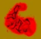 Stage 8 | Lifting simulator Wiki | Fandom