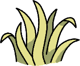 Grass Patch | Liftlands Wiki | Fandom