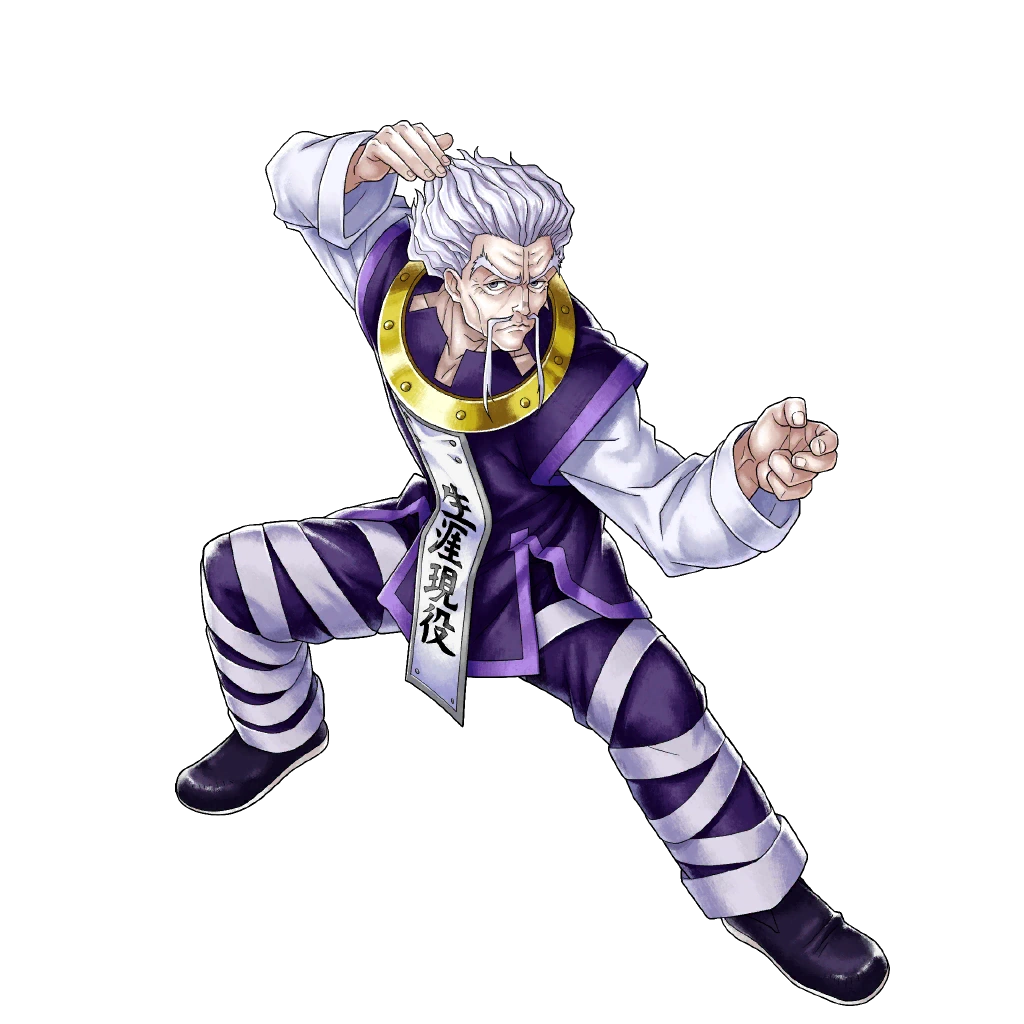 Zeno Zoldyck | Wiki Dynami Battles | Fandom