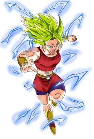 Kale (DBS Anime) | Wiki Dynami Battles | Fandom