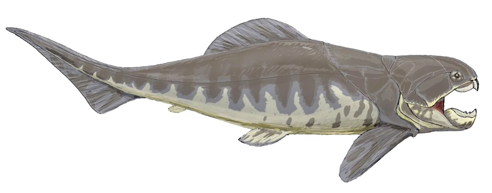 Dunkleosteus terrelli | Wiki Dynami Battles | Fandom