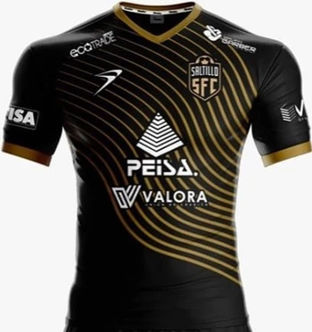 Saltillo Fútbol Club | Fútbol Mexicano Wiki | Fandom