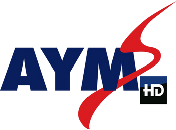 AYM Sports | Fútbol Mexicano Wiki | Fandom