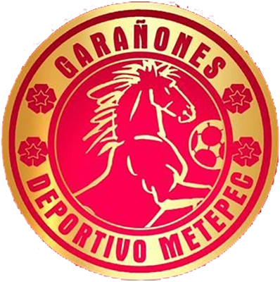 Deportivo Metepec | Fútbol Mexicano Wiki | Fandom