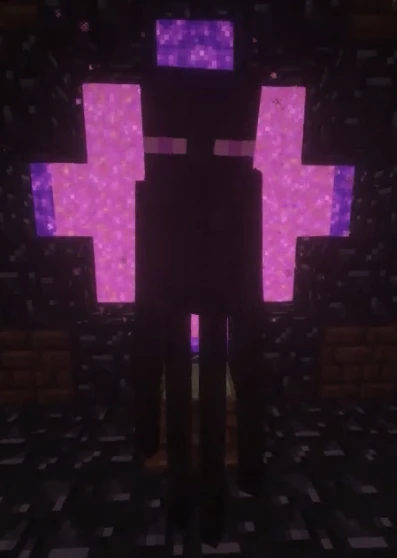 The Paladin | Lightning SMP Wiki | Fandom