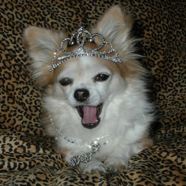 Big ballin | Lil Hero Wiki | Fandom