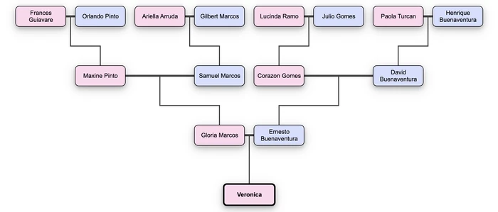 Princess Veronica | Lila's America Wiki | Fandom