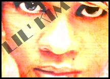 The Queen Bee | Lil' Kim | Fandom