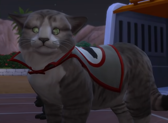 Spatula Lilsimsie Wiki Fandom