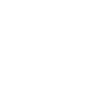 Bumbershoot | Lil Wayne Wiki | Fandom