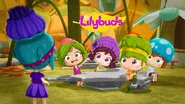 Lilybuds | Lilybuds Wiki | Fandom