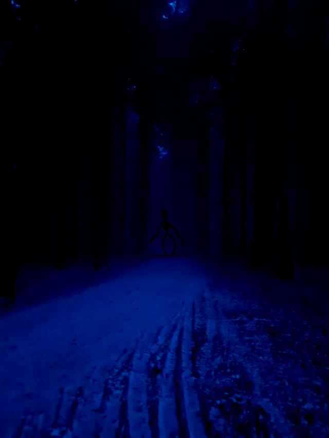 Level 4: Blue Forest | Liminal Abolishment Wiki | Fandom