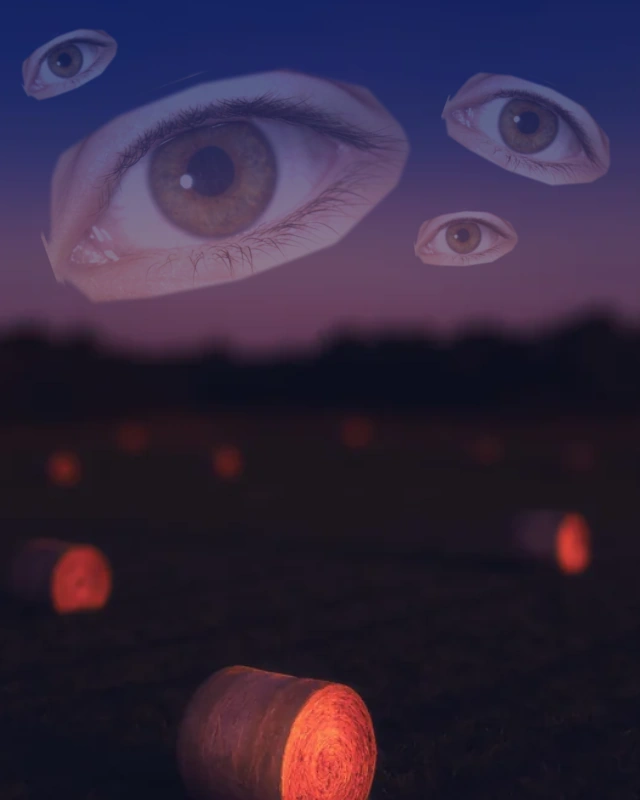 Level 1: ALL-Seeing Sunset | Liminal Abolishment Wiki | Fandom