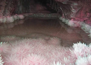 Level 8 | Backrooms Wiki | Fandom