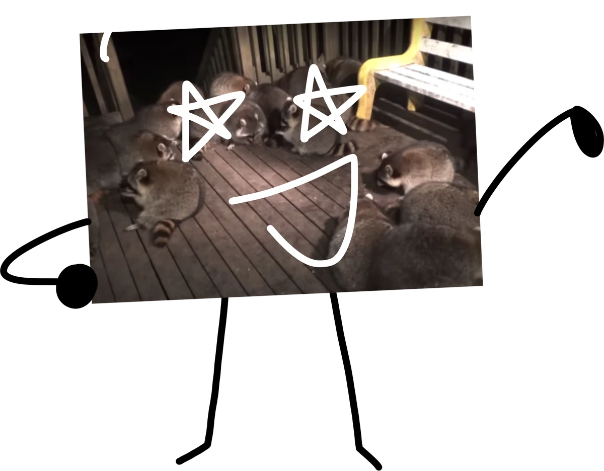 Raccoon Front Yard | Liminal Latte Wiki | Fandom