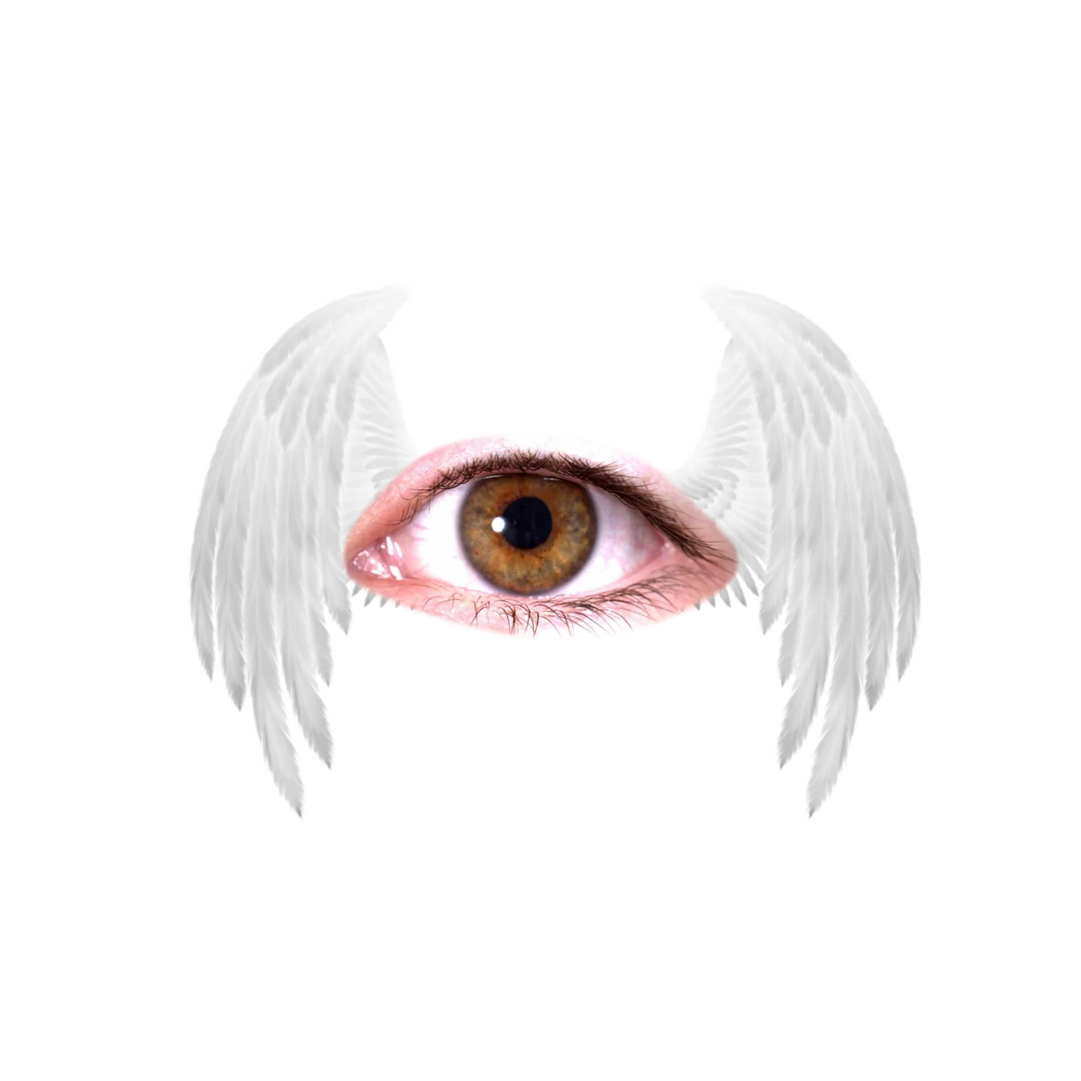 Document-EYE | Liminal space photos Wiki | Fandom