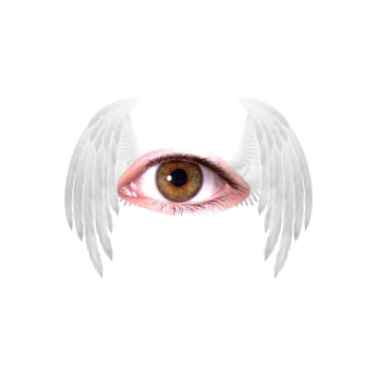 Document-EYE | Liminal space photos Wiki | Fandom