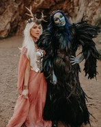 Til the Light Goes Out (song) | Lindsey Stirling Wikia | Fandom