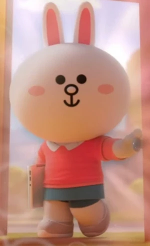 Winter Brown And Cony Line