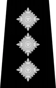 Chief Inspector | Line of Duty Wiki | Fandom