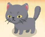 Gib | LINE Play Wiki | Fandom