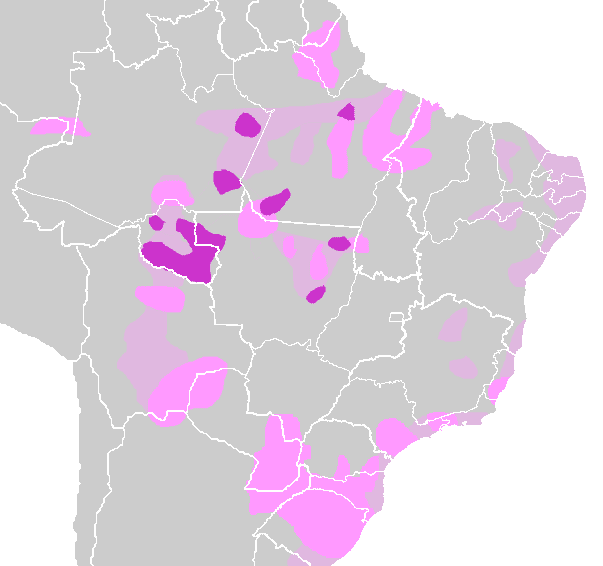 Langues tupi | Wiki Lingua | Fandom