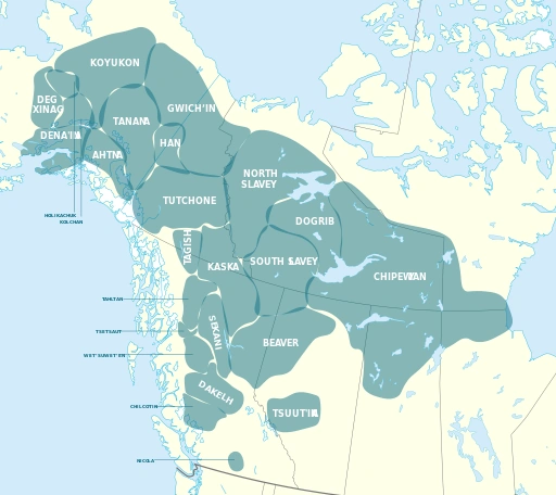 Carrier | Wiki Lingua | Fandom