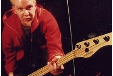 Brad Delson Biography