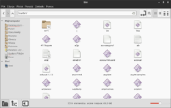 Nemo | Linux Wiki | Fandom