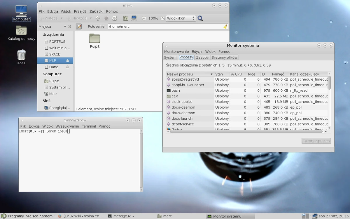 MATE | Linux Wiki | Fandom