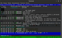 Terminal GNOME | Linux Wiki | Fandom