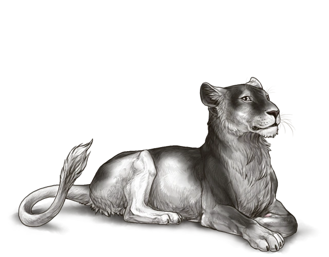 Marking Guide | Lioden Wiki | Fandom