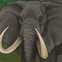 NPCs | Lioden Wiki | Fandom