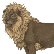 Mane Colors | Lioden Wiki | Fandom