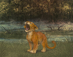 Cubs | Lioden Wiki | Fandom